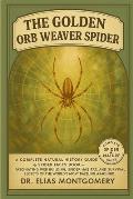 The Golden Orb Weaver Spider: A Complete Natural History Guide & Spider ...