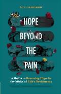 Hope Beyond the Pain: A Guide to Restoring Hope in the Midst of Life's ...