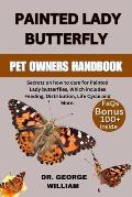 Painted Lady Butterfly: Secrets on how to care for Painted Lady ...