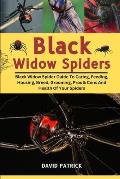 Black Widow Spiders: Black Widow Spider Guide To Caring, Feeding ...